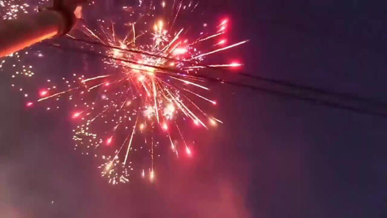 Here’s how to control summer storm & firework pet anxiety