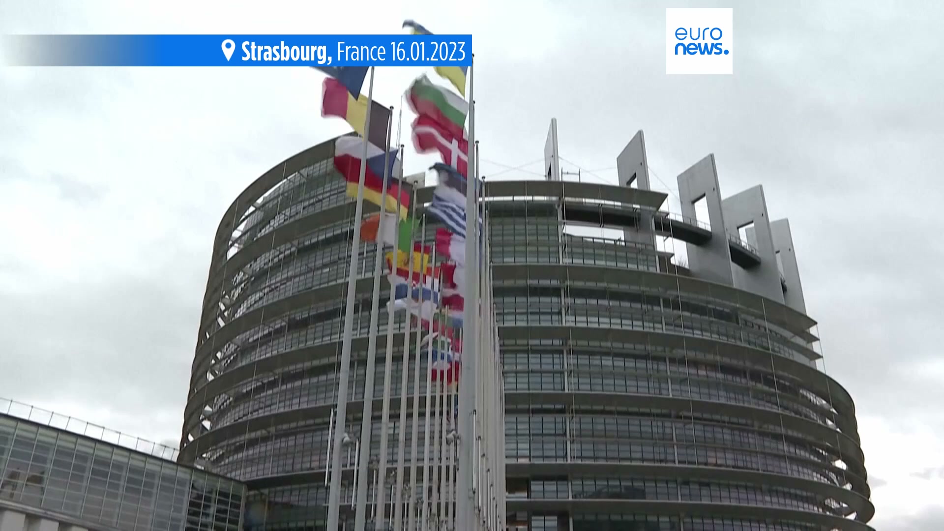 European Parliament to start procedure to ban Alternative for Germany’s ...