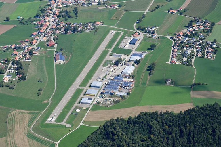 Plane forced to make emergency landing after rogue wasp hits routine flight