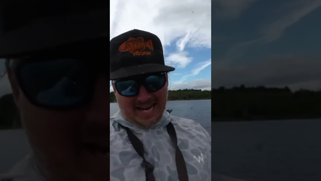 Every angler requires one essential bait in their tackle box