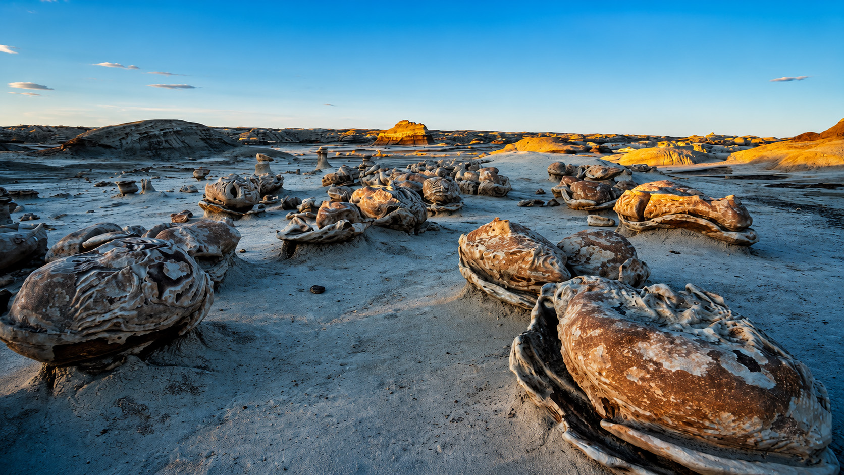 Strange desert rock formations in Bisti’s otherworldly landscape
