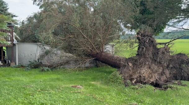 Tornado? Microburst? National Weather Service surveys Lewis County ...