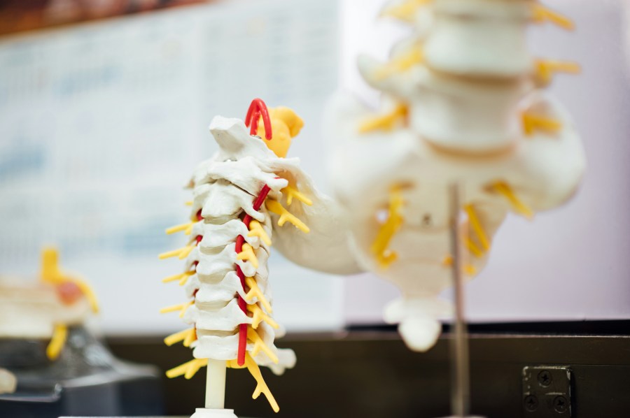 Missouri Medicaid will no longer cover chiropractic, acupuncture services