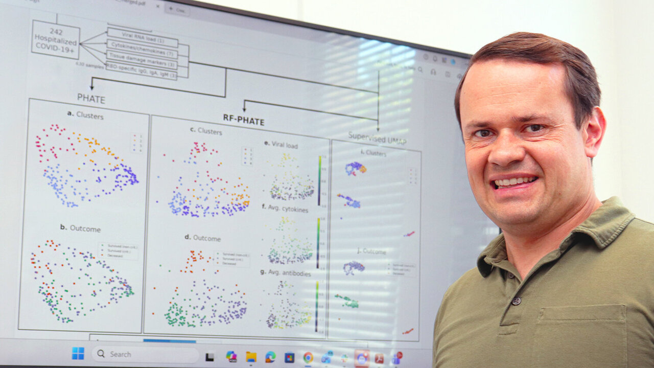 Beyond 3-D: Data scientists introduce novel AI tool to interpret ...