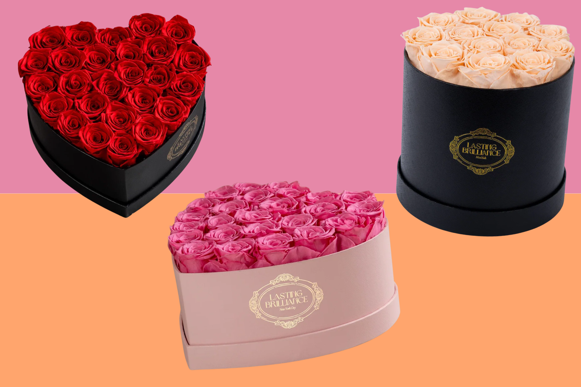 These long-lasting flowers are the gift that keeps on giving