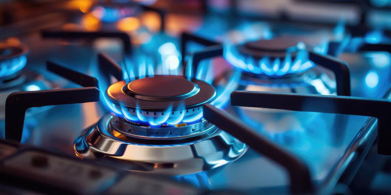 New York’s Electric Building Act upheld, limiting gas appliances in new ...