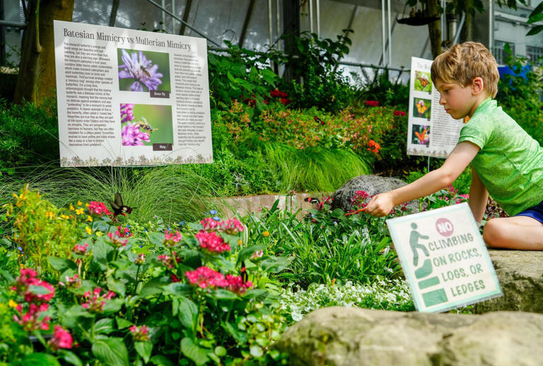 Krohn Conservatory closing early this week due to heat