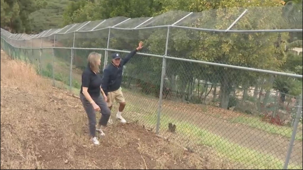 Orange County HOA sues family for building a fence to protect their ...