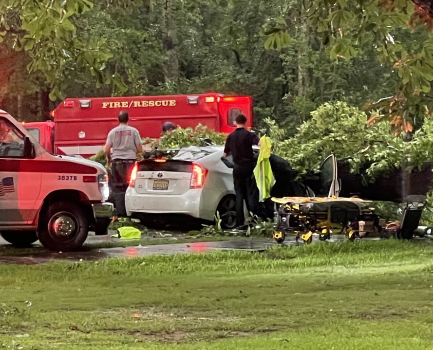Bay Minette woman hospitalized after tree crushes her car
