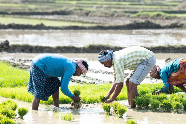 India’s economy gets a lift from falling oil prices, but weak monsoons ...