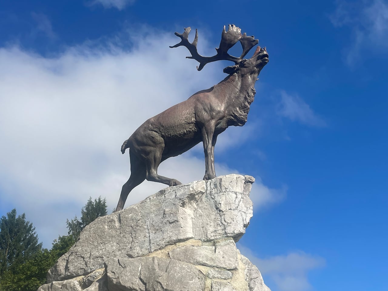 'Courage and discipline': Newfoundland Regiment sacrifice remembered on ...