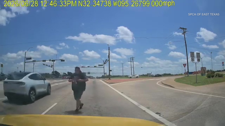 Woman saves injured kitten from busy Tyler road