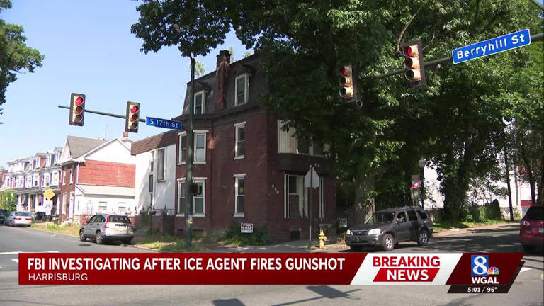 Agent fires shot | Undocumented immigrant at large after ramming ICE ...