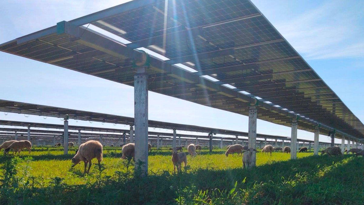 Wall Street is pivoting from solar to solar plus storage