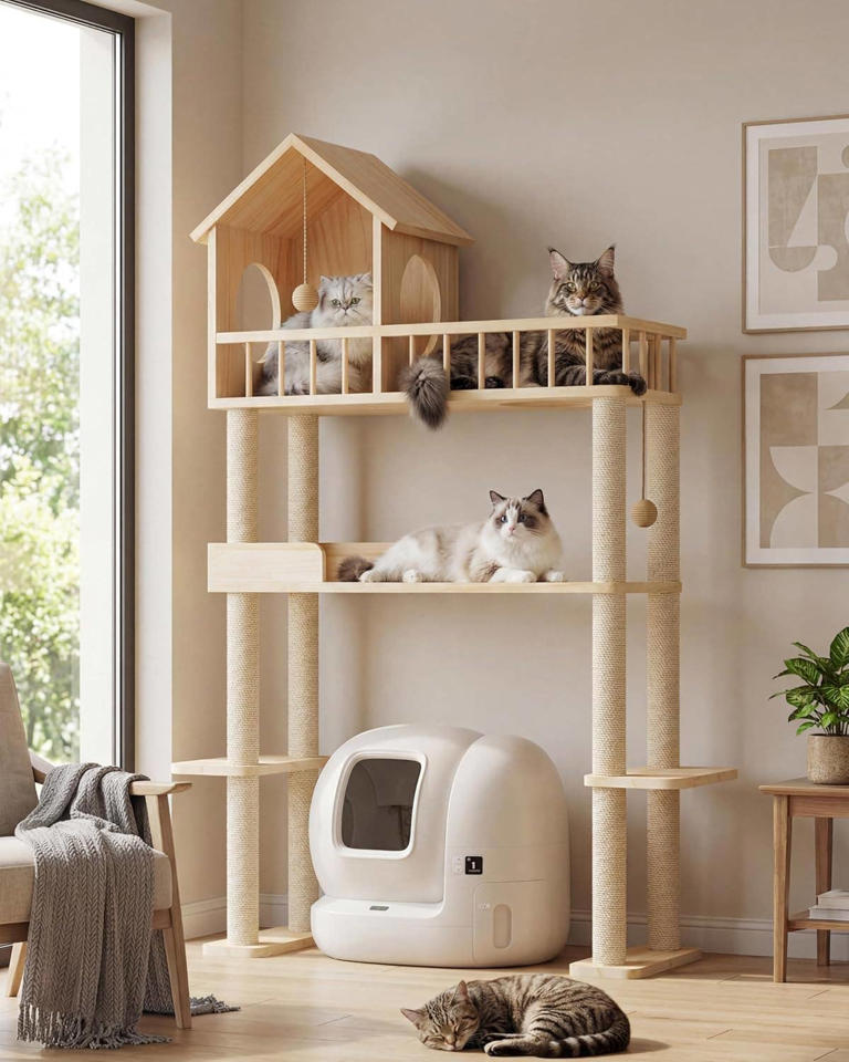 Amazon's new cat tower combines a stylish wooden loft with dedicated ...