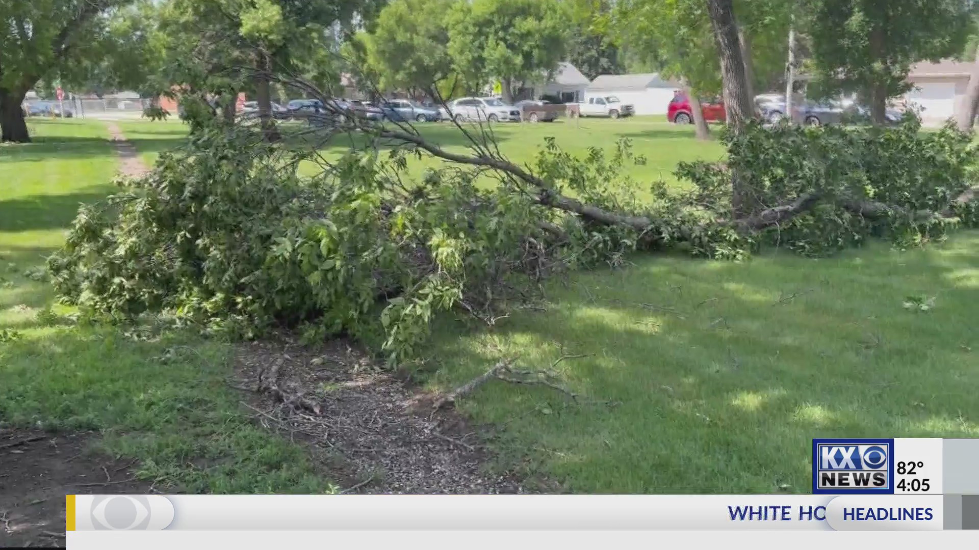 Where to dispose of fallen branches after storms hit ND