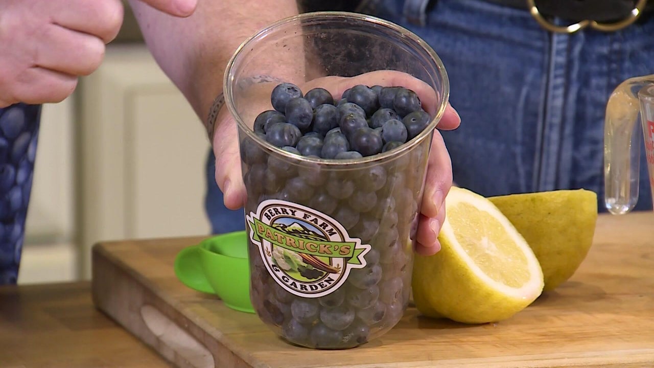 pH science experiment with blueberries | Just for kids!