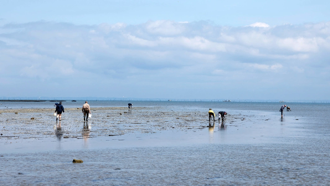 Coastal foraging tours blend adventure with sustainable seafood