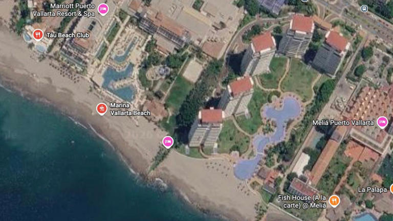 Southern California couple witnesses deadly crocodile attack in Puerto ...