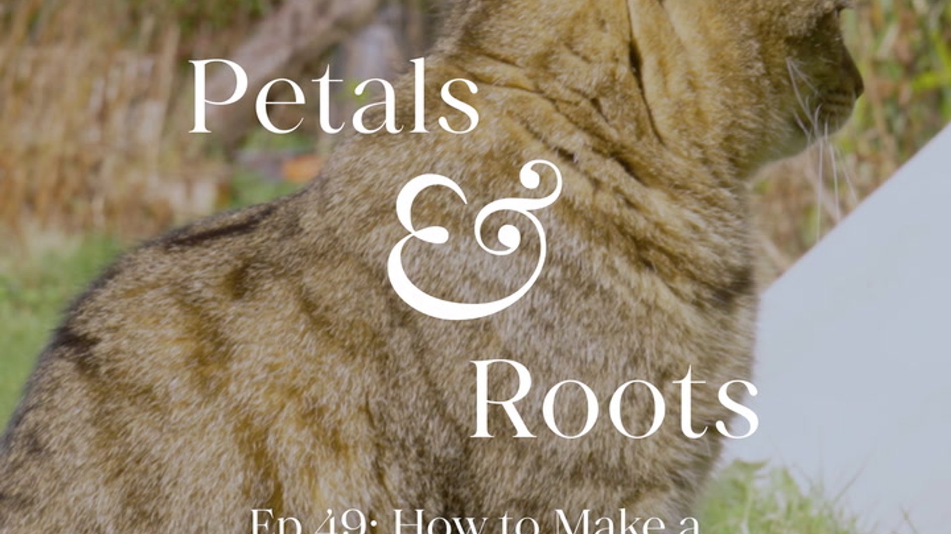 Gardening tutorial: Create a natural teepee for your sweet peas