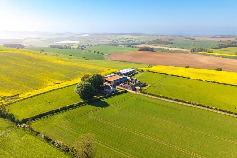 Fife farm with 125 acres of land goes on the market