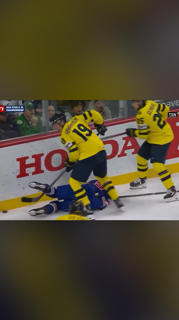 Why the Carolina Hurricanes believe William Hakansson is a perfect ...