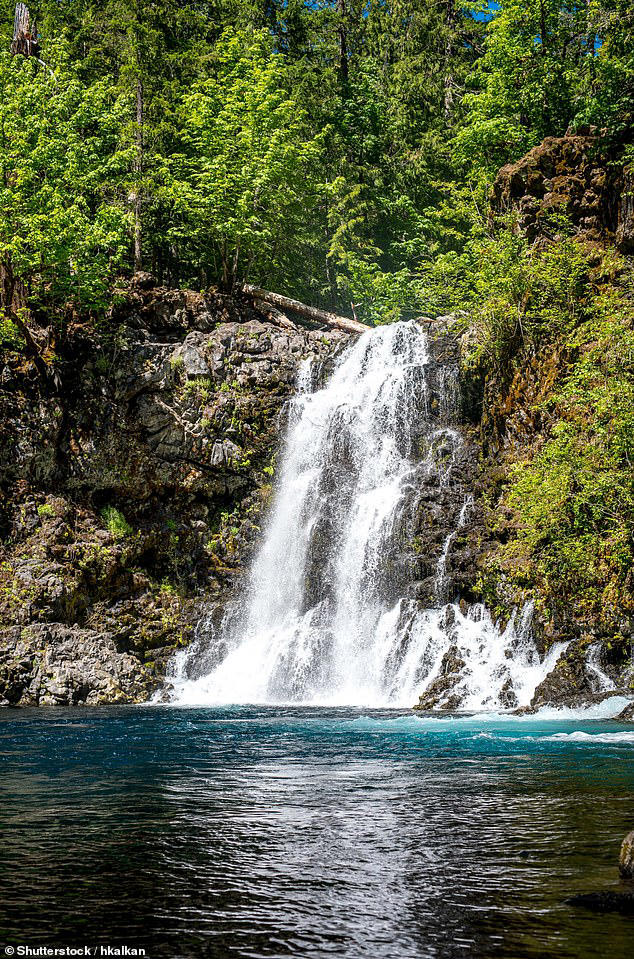 Enchanting pool's latest victim named as blue waters entice tourists ...