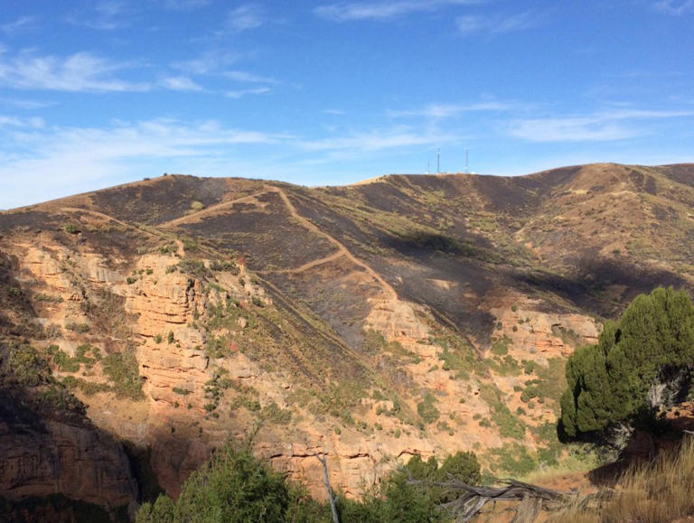 Firearm target shooting restricted in wildlife management areas due to ...