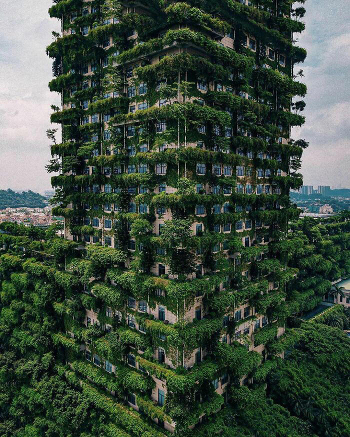 Future is now: 50 photos showing how unique China truly is