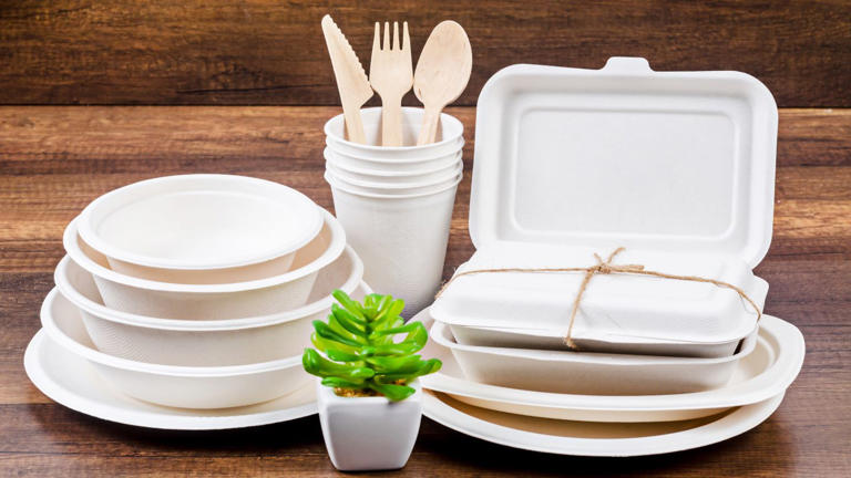 Fibre-based food packaging to lead market by 2045: Study