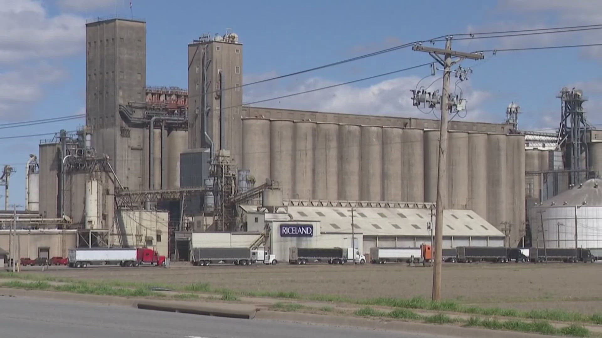 Arkansas rice farmers facing high costs and global competition