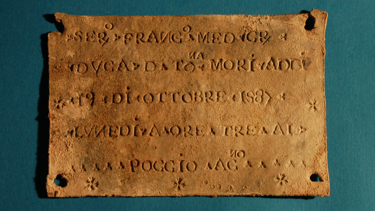 Ancient DNA analysis solves 500-year-old mystery of what killed 2 ...