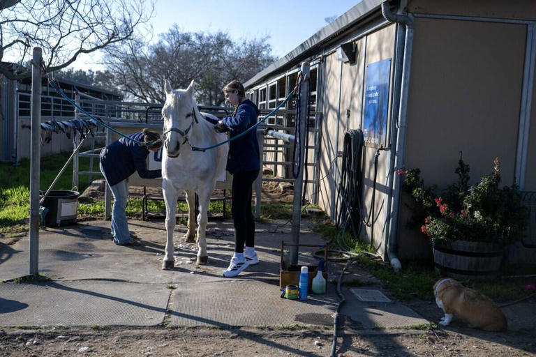Lawsuit, fraud allegations fail to stop UC Davis from axing varsity ...