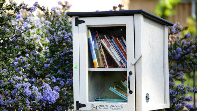 7 creative neighborhood swap ideas to reduce waste and foster community ...