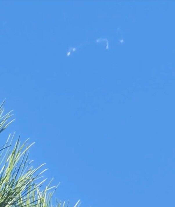 Clumps of spiders are falling from the sky in California in a ...