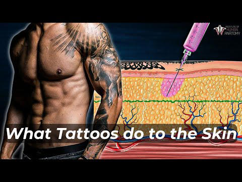 Every tattoo starts a lifelong immune response. Science is still ...