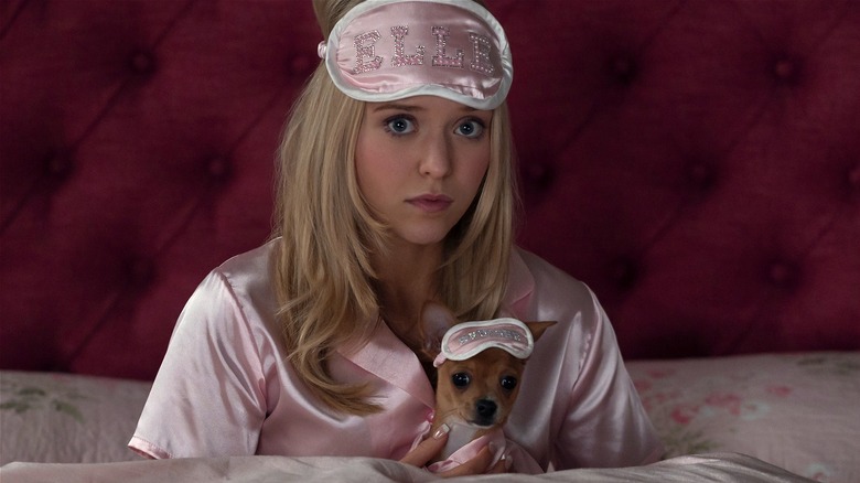 Elle pokes fun at a rejected Legally Blonde cameo with a clever name drop