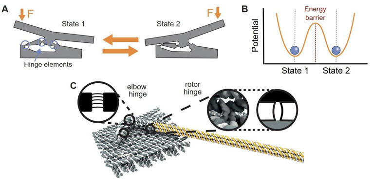 DNA-based nanoswitch can flip in milliseconds and stay in one state for ...