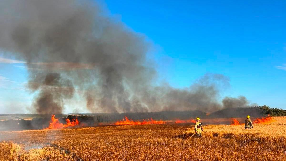 Farm machinery starts large barley field fire