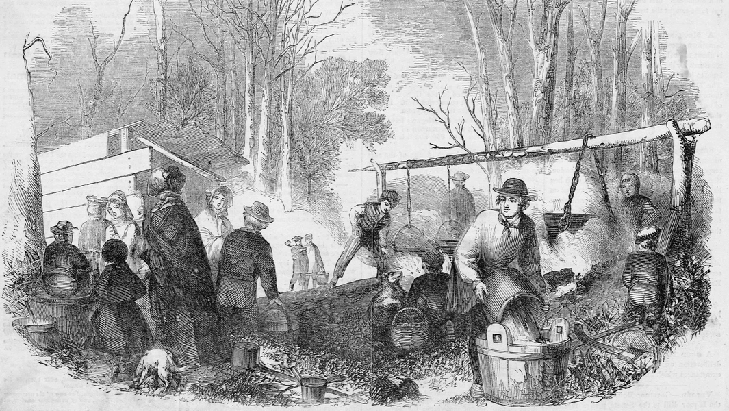 14 facts about maple syrup's history, production, and uses