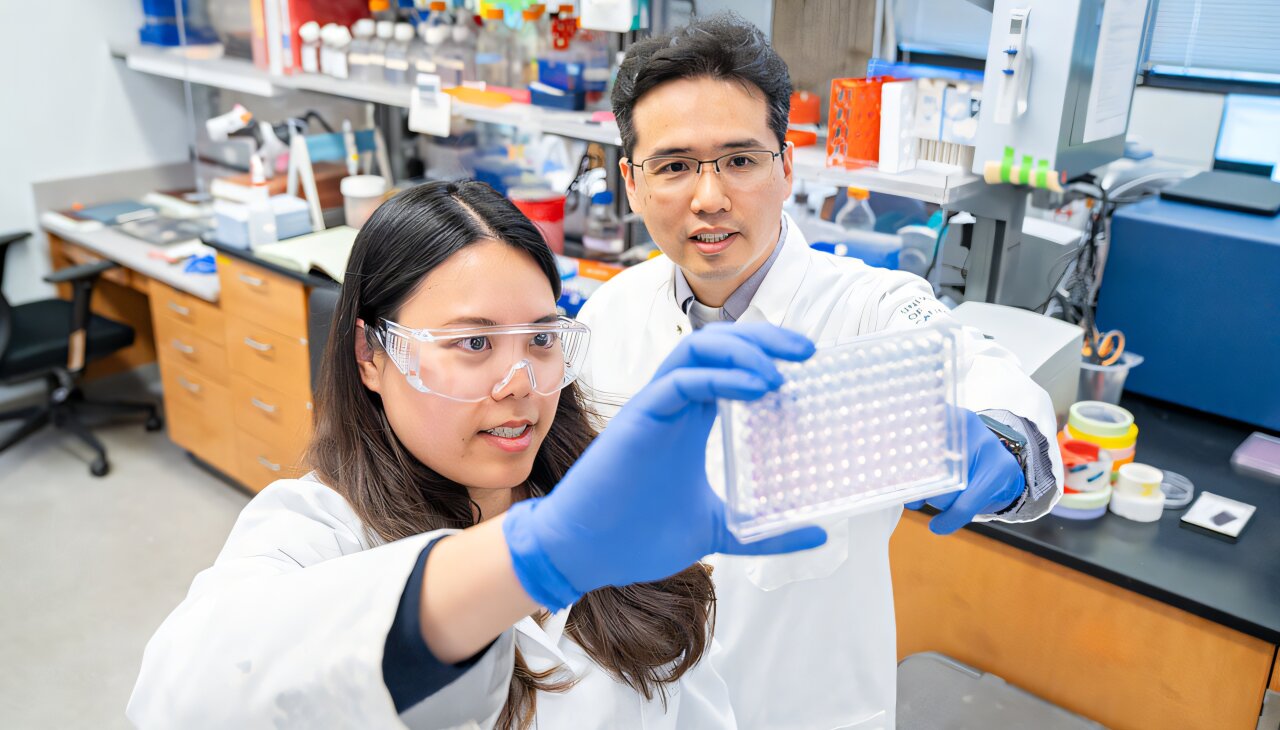 Discovery could help prevent cancer drug resistance before it starts