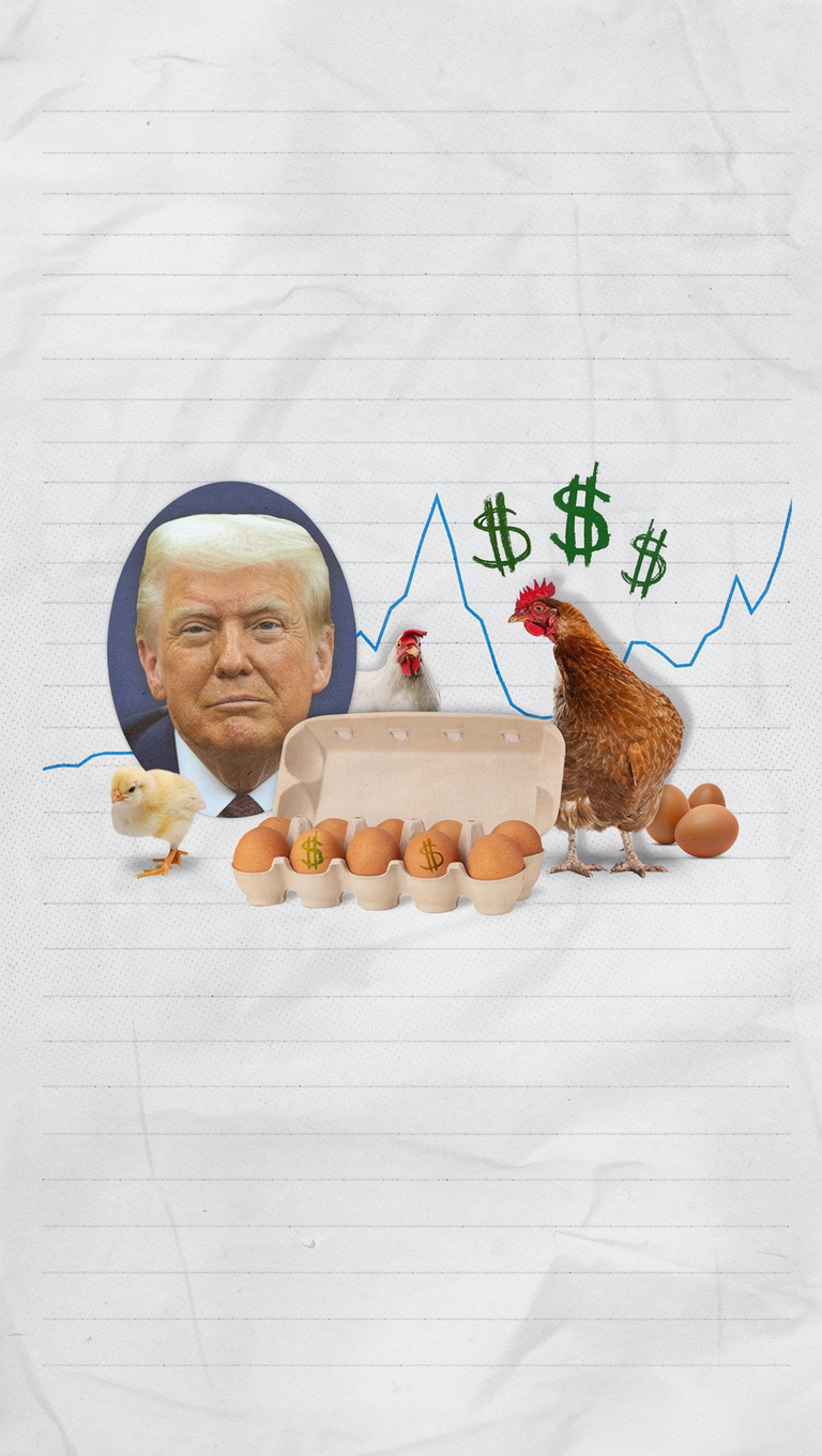 Trump’s egg price problem just cracked wide open