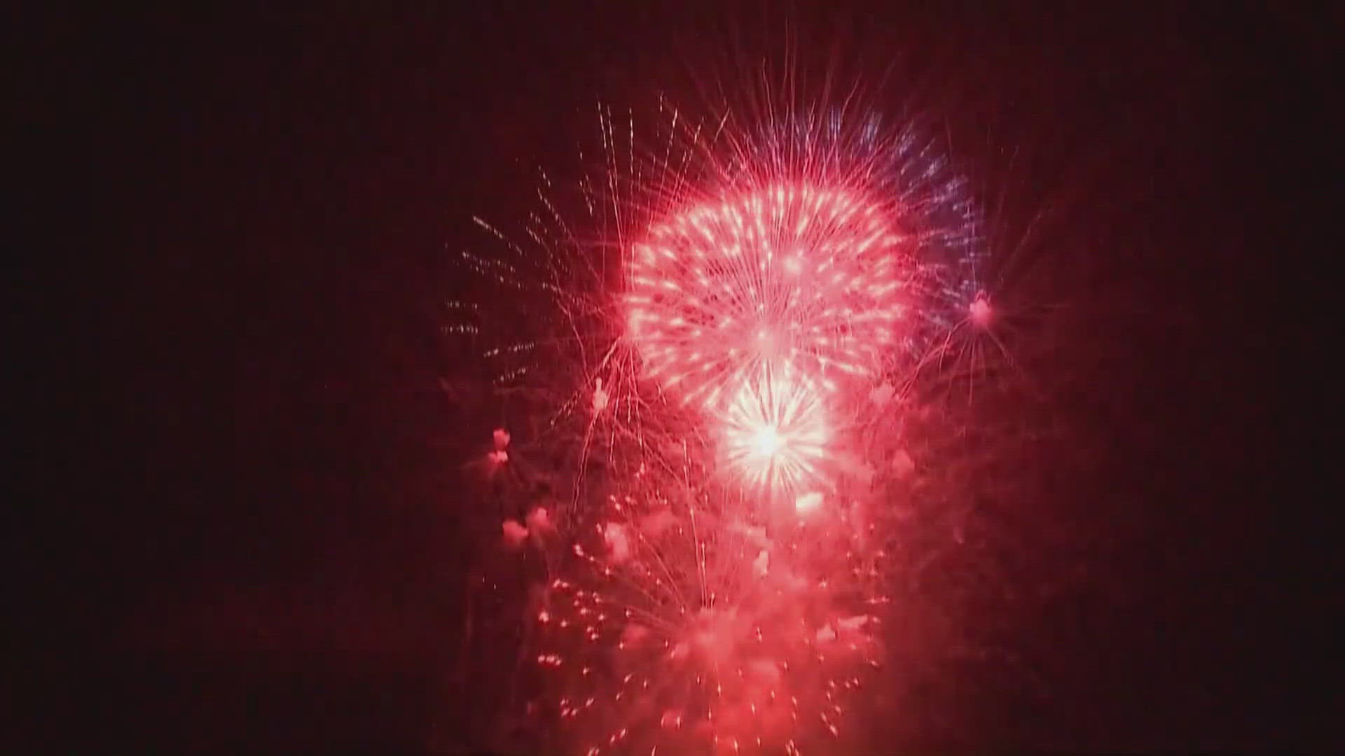 Tips to keep pets safe during Fourth of July fireworks