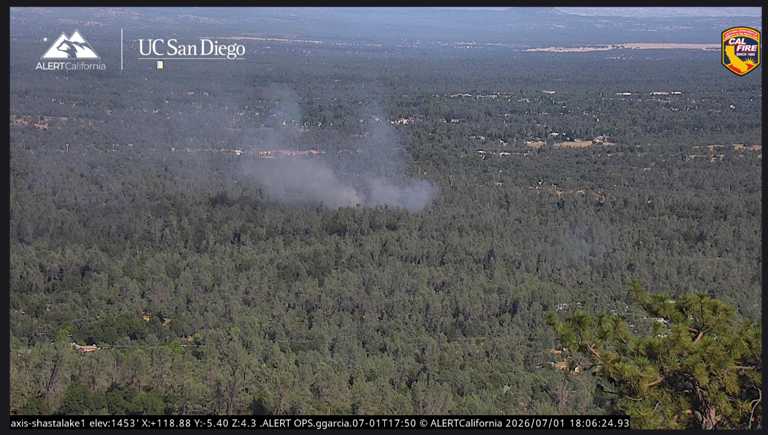 Crews contain small vegetation fire in Shasta Lake
