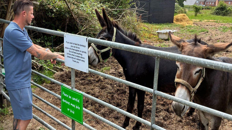 Donkey donation box stolen from outside field