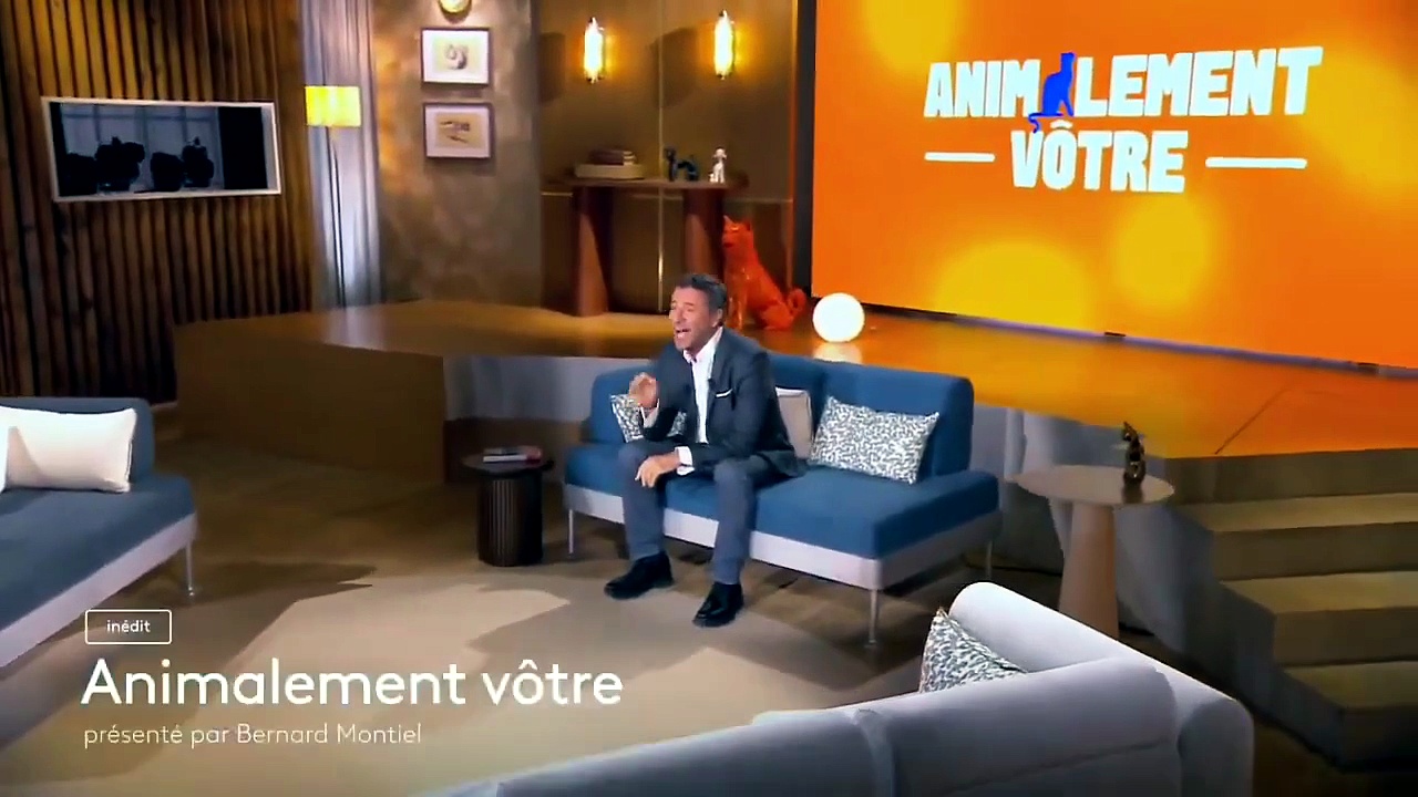 France 3 - Animalement vôtre le magazine du bien-être animal présenté ...