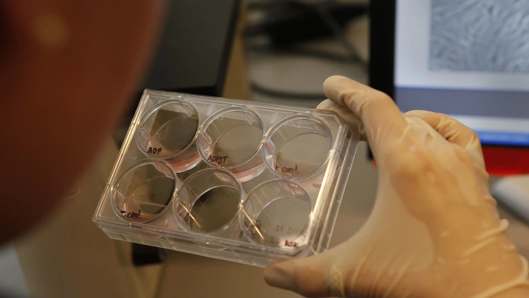 Reversing cellular aging: Science, trials, and societal impact