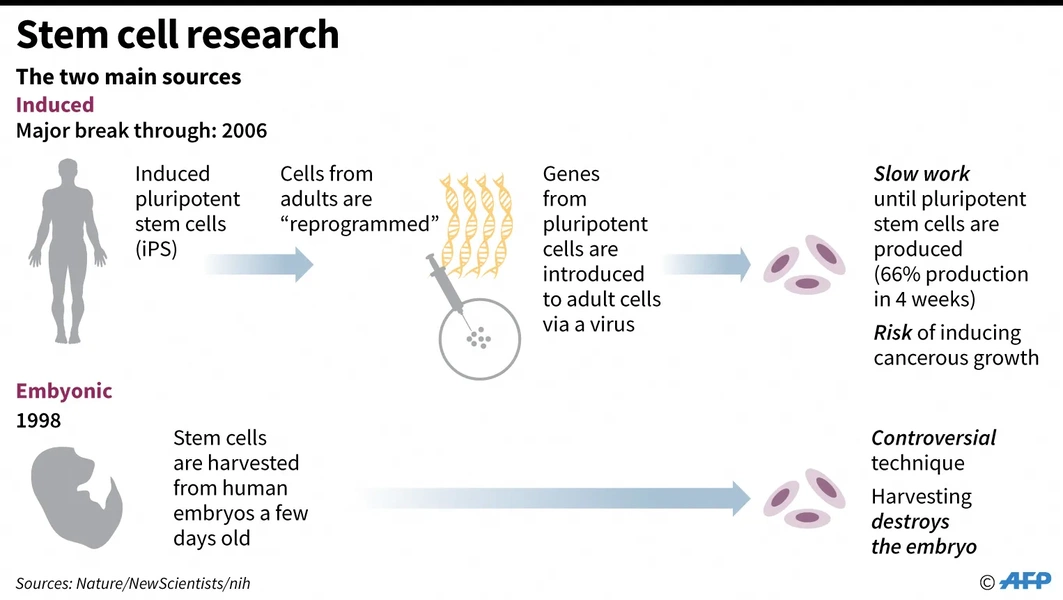 Reversing cellular aging: Science, trials, and societal impact