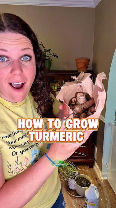Turmeric gardening guide for healthy fast growth