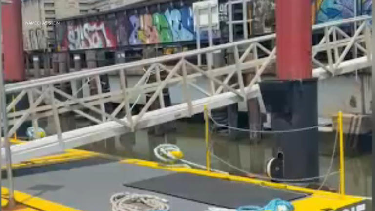 Fans miss Yankees game after parked CSX train blocks ferry dock